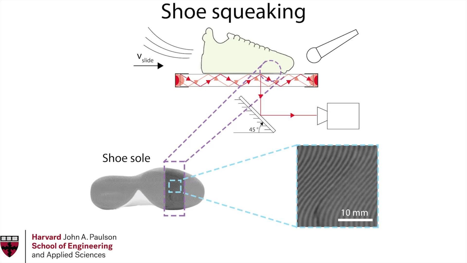 Physics discovery explains why sneakers squeak | Popular Science