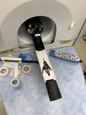 How do you check a hummingbird for broken bones? Very carefully ...