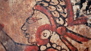 Ancient Mayan water filters stopped a lot—just not mercury poisoning ...