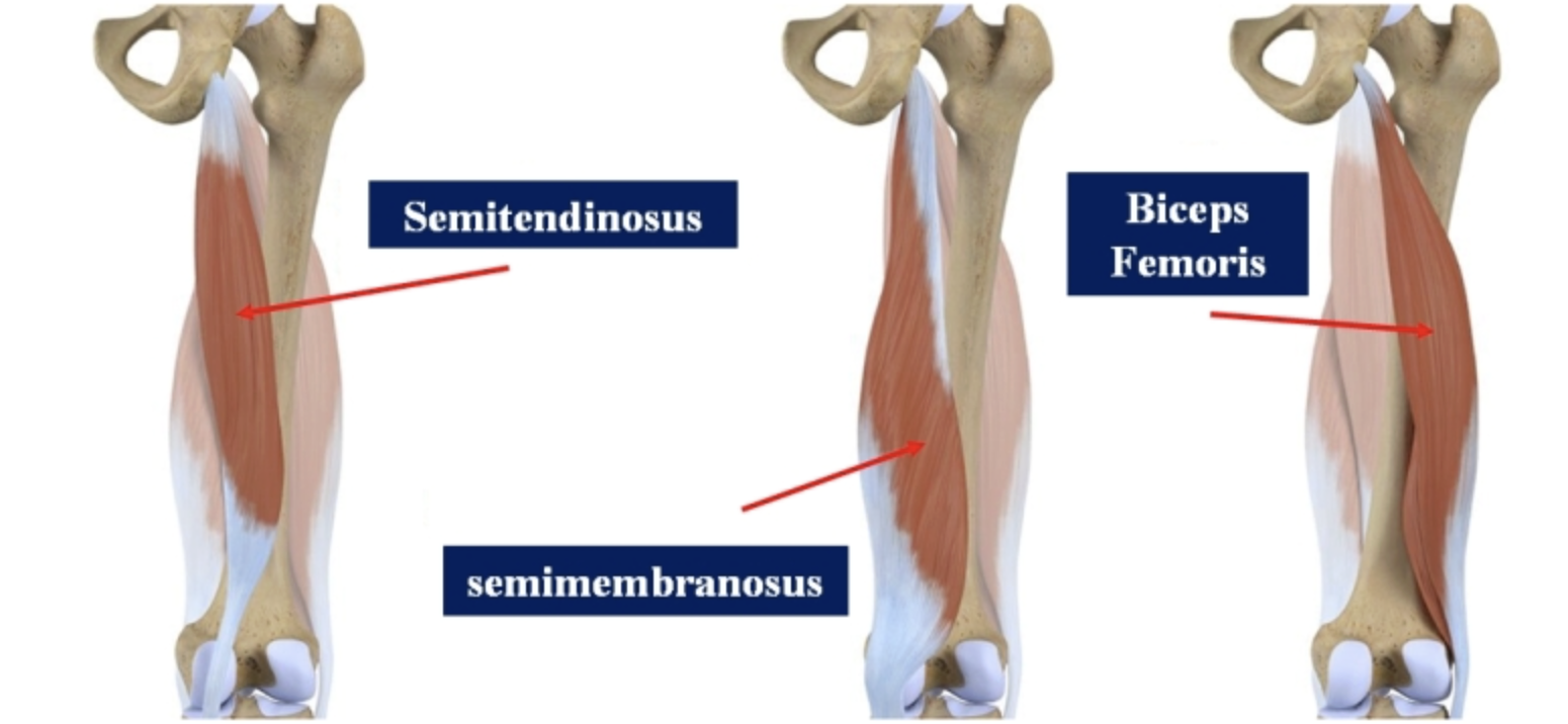 7 hamstring stretches recommended by a physical therapist | Popular Science