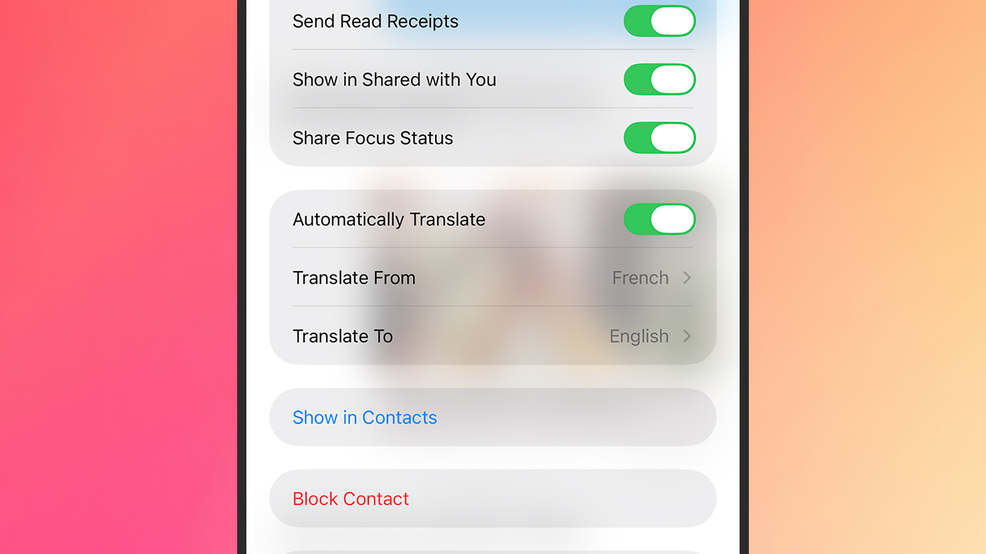 There's a helpful translation tool hidden in your iPhone Messages ...