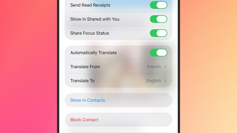 There's a helpful translation tool hidden in your iPhone Messages ...