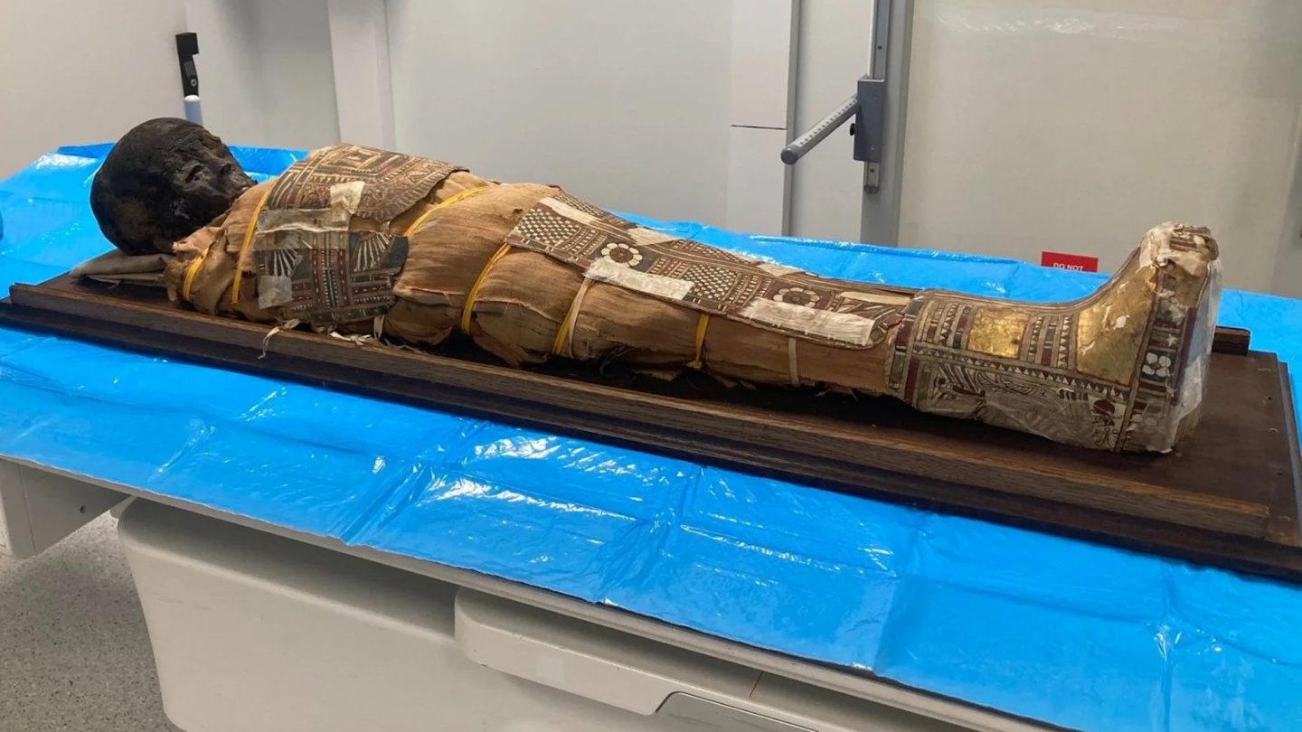 Mystery item spotted in 2,000-year-old Egyptian child mummy | Popular ...