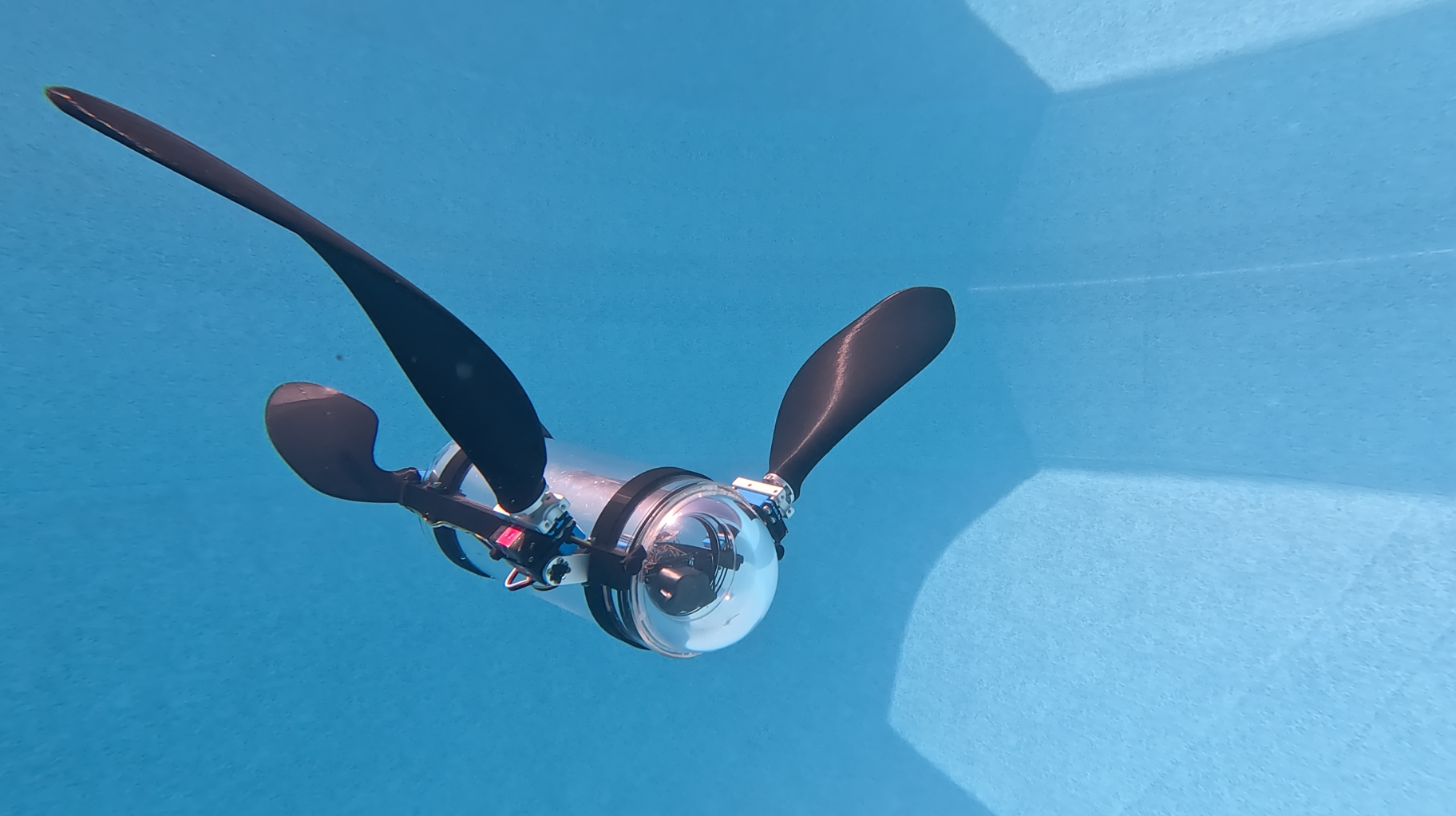 Teen builds 'Bionic Underwater Robotic Turtle' to detect ecological ...