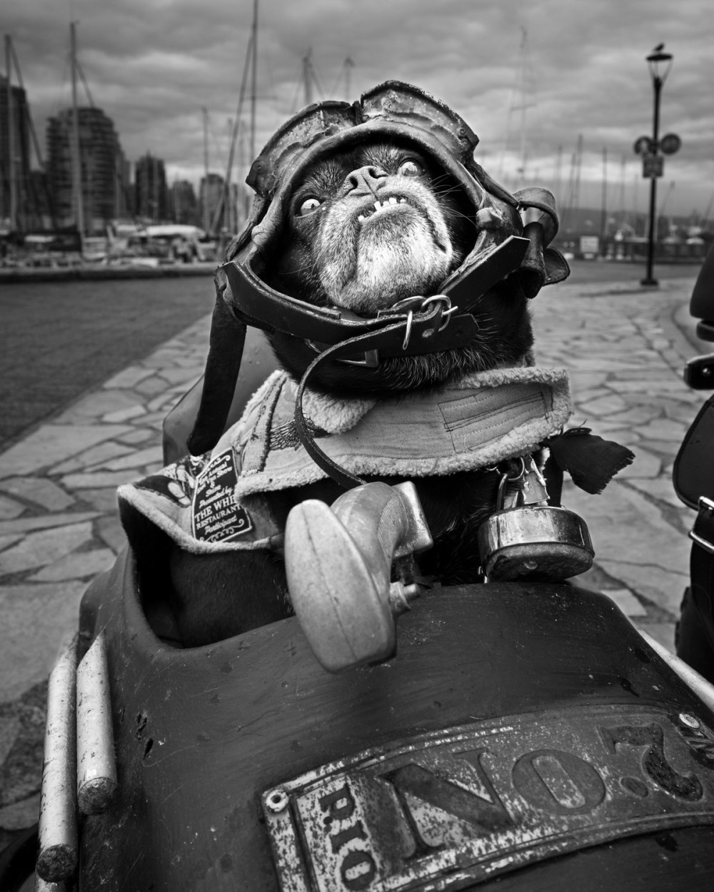 11 captivating images from the Exposure One Photography Awards ...