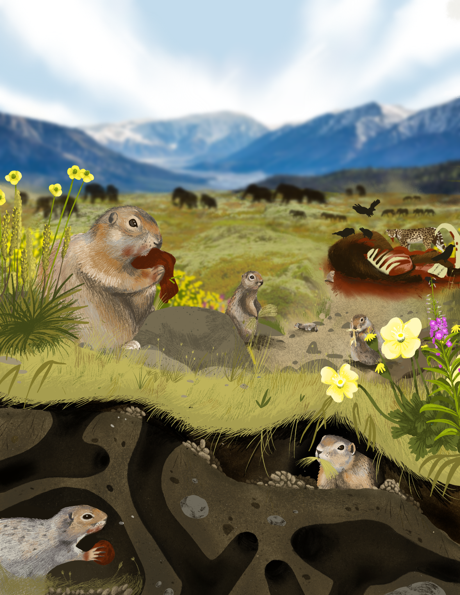 To reconstruct an ancient ecosystem, the proof is in the squirrel poop ...