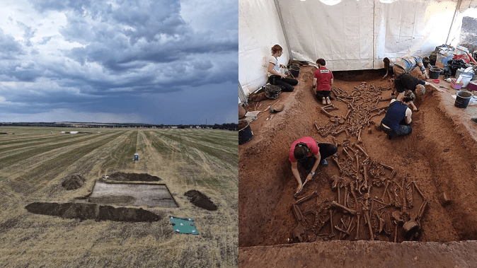 77 headless skeletons found in a field date back 7,000 years | Popular ...