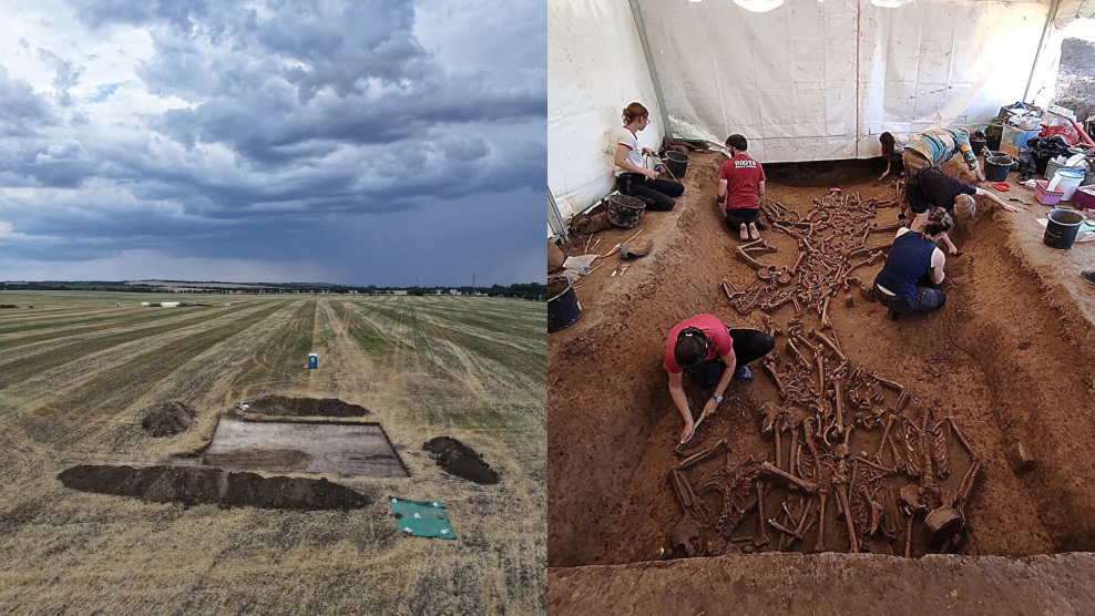 77 headless skeletons found in a field date back 7,000 years | Popular ...
